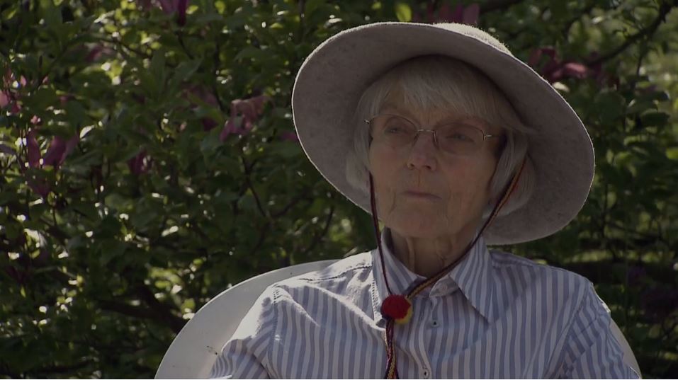 Trace of the future according to Thomas Heise - dafilms.com | watch online