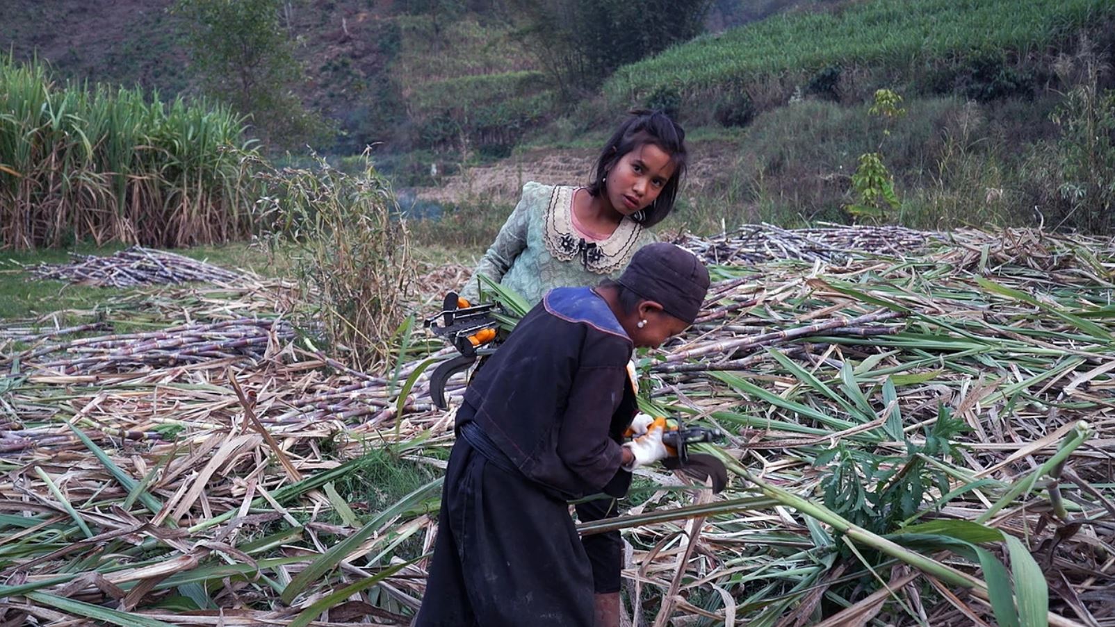 Ta'ang - dafilms.com | watch online