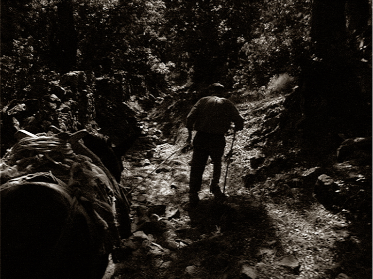 Following Flaubert - dafilms.com | watch online