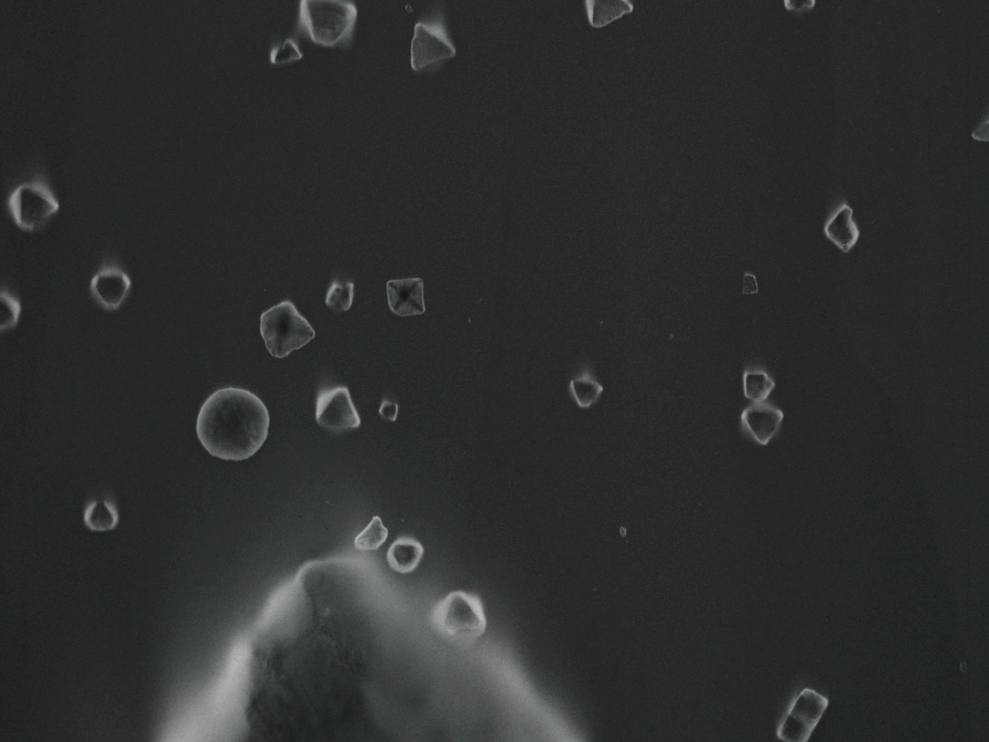 Shimmer - dafilms.com | watch online