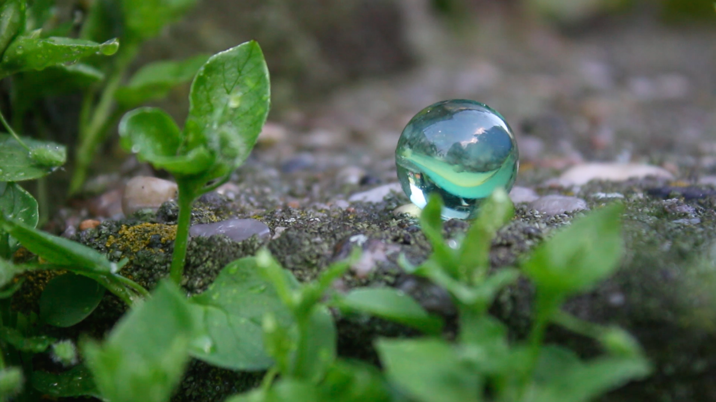 91 Meters - dafilms.com | watch online