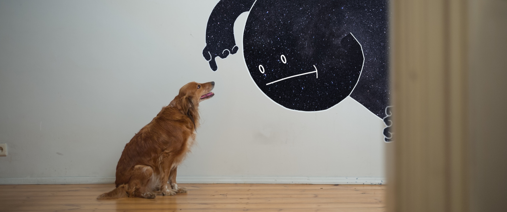 Mr. Night Has a Day Off - dafilms.com | watch online