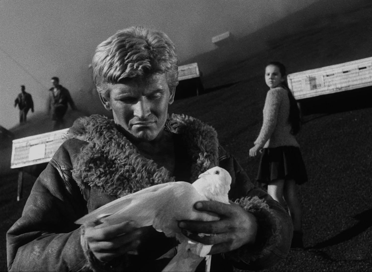 The White Dove - dafilms.com | watch online