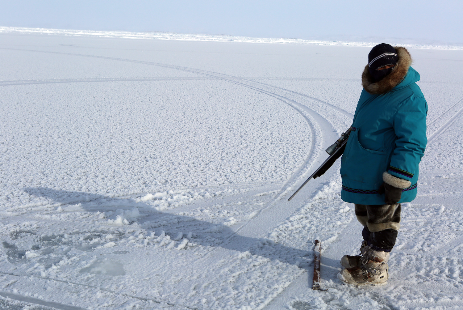 Angry Inuk - dafilms.com | watch online