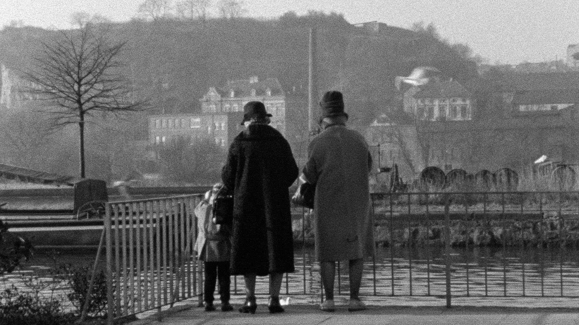 Peter Nestler: Early Works | dafilms.com