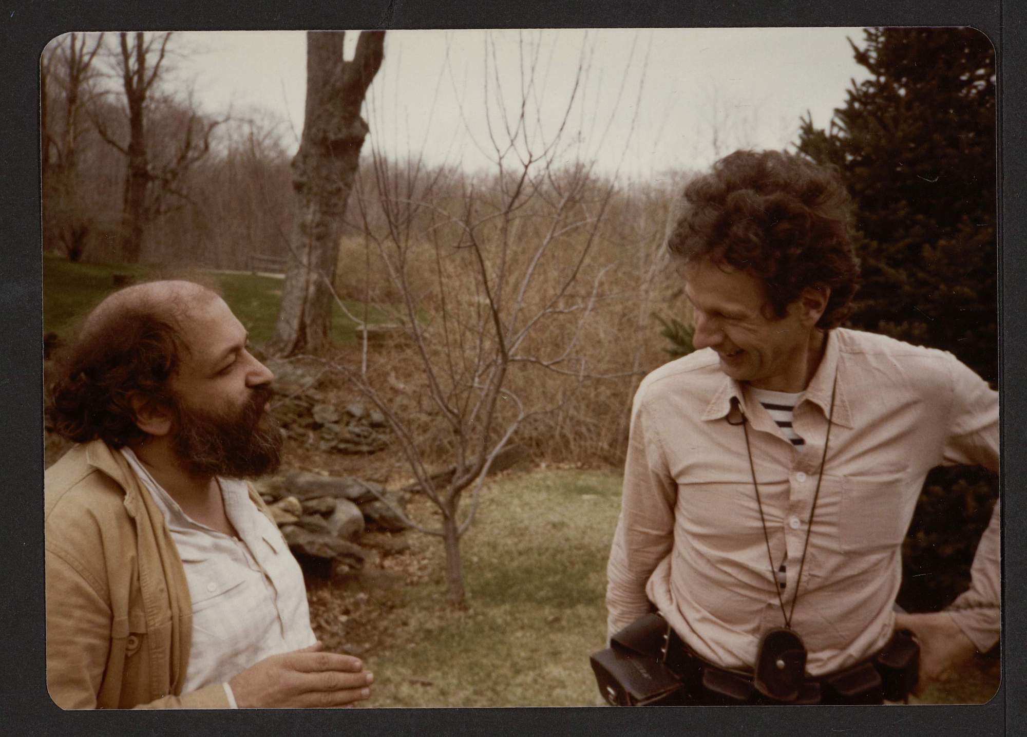 Chytilová versus Forman - dafilms.com | watch online