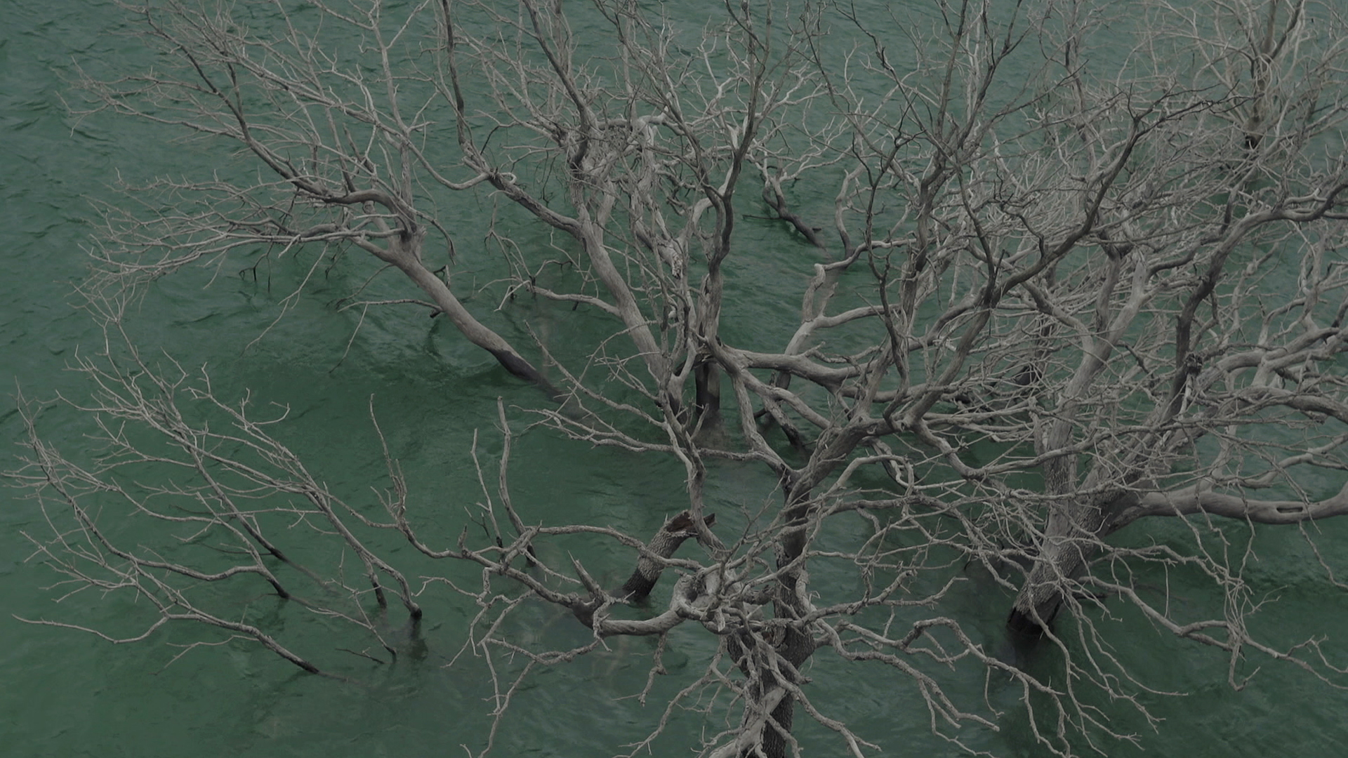 Land Underwater - dafilms.com | watch online