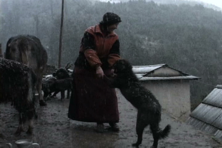 BUBONG! (Roofs of the World! UNITE!) - dafilms.com | watch online