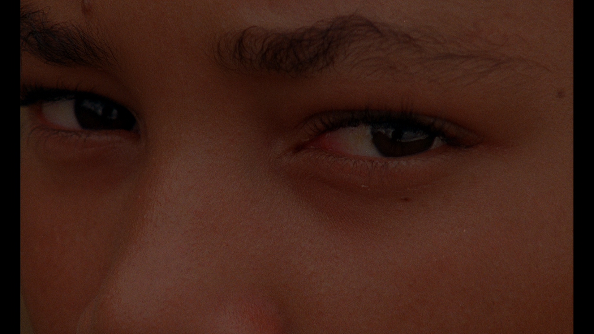 Há terra! (There is Land!) - dafilms.com | watch online