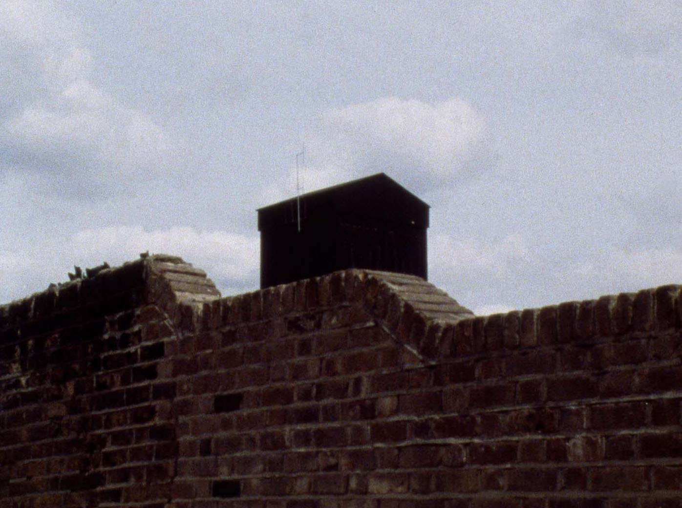 The Black Tower - dafilms.com | watch online