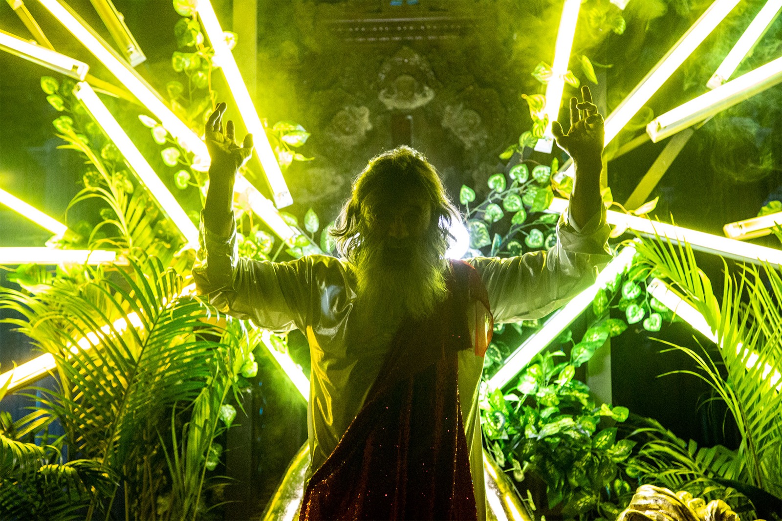 The Lost Pussy of the Incas / La chucha perdida de los Incas - dafilms ...