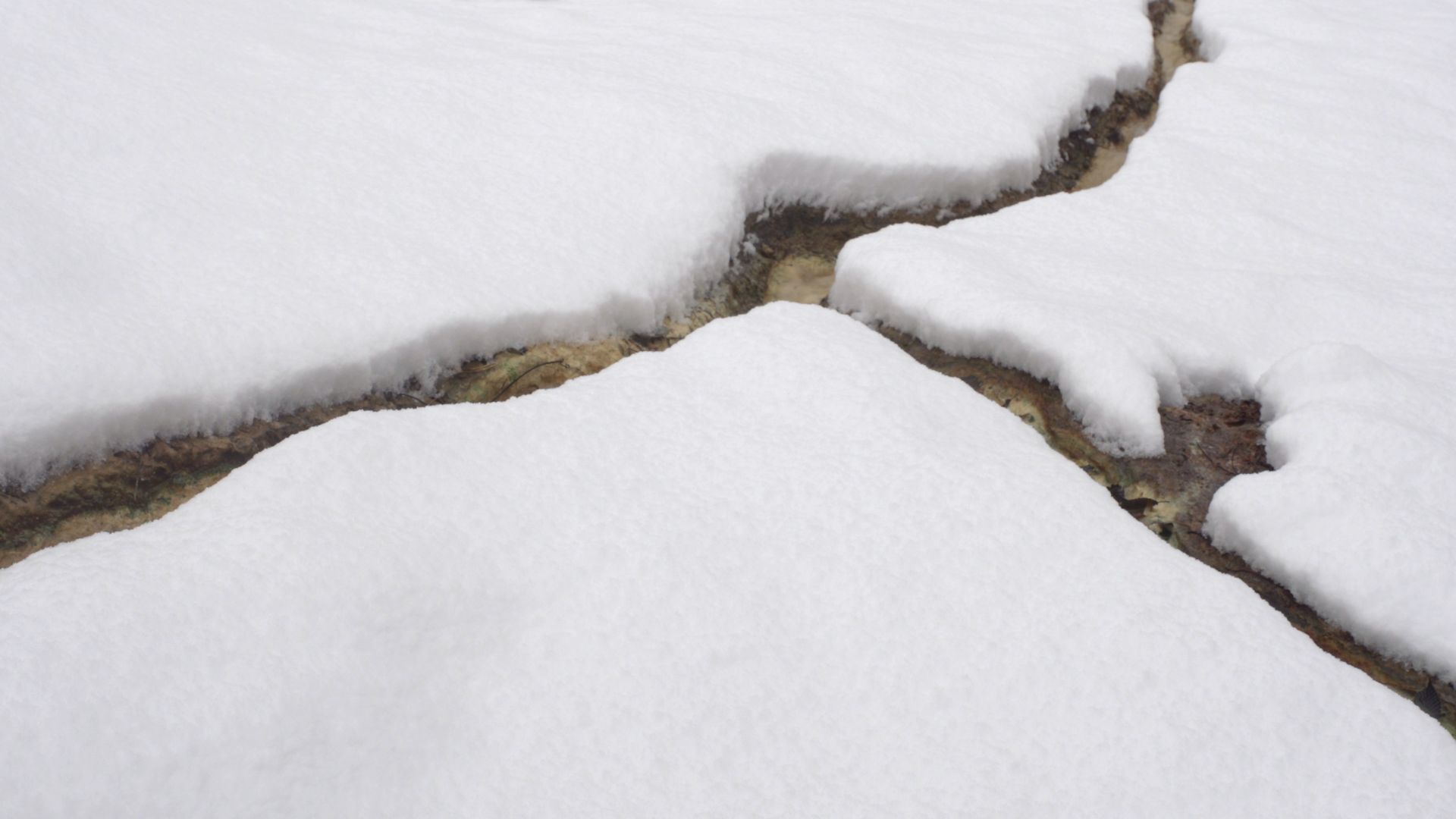 Disturbed Earth - dafilms.com | watch online