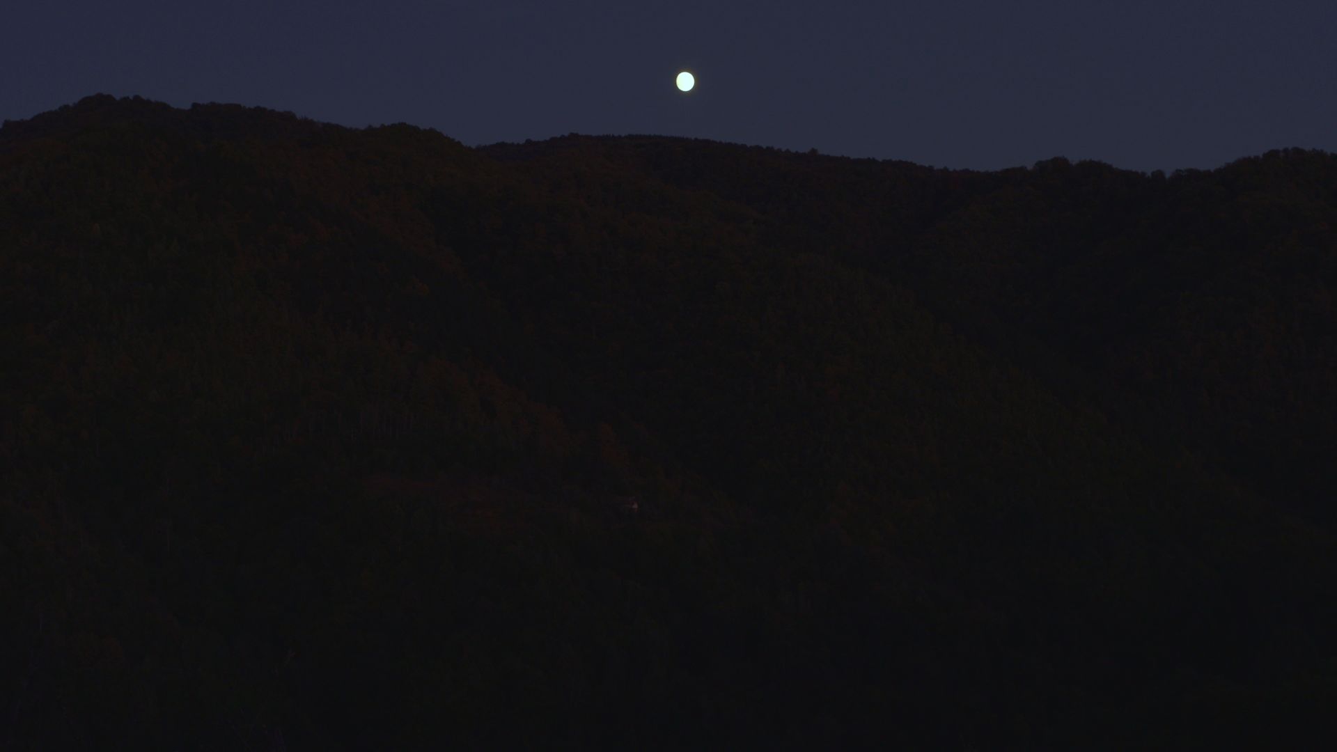 Disturbed Earth - dafilms.com | watch online