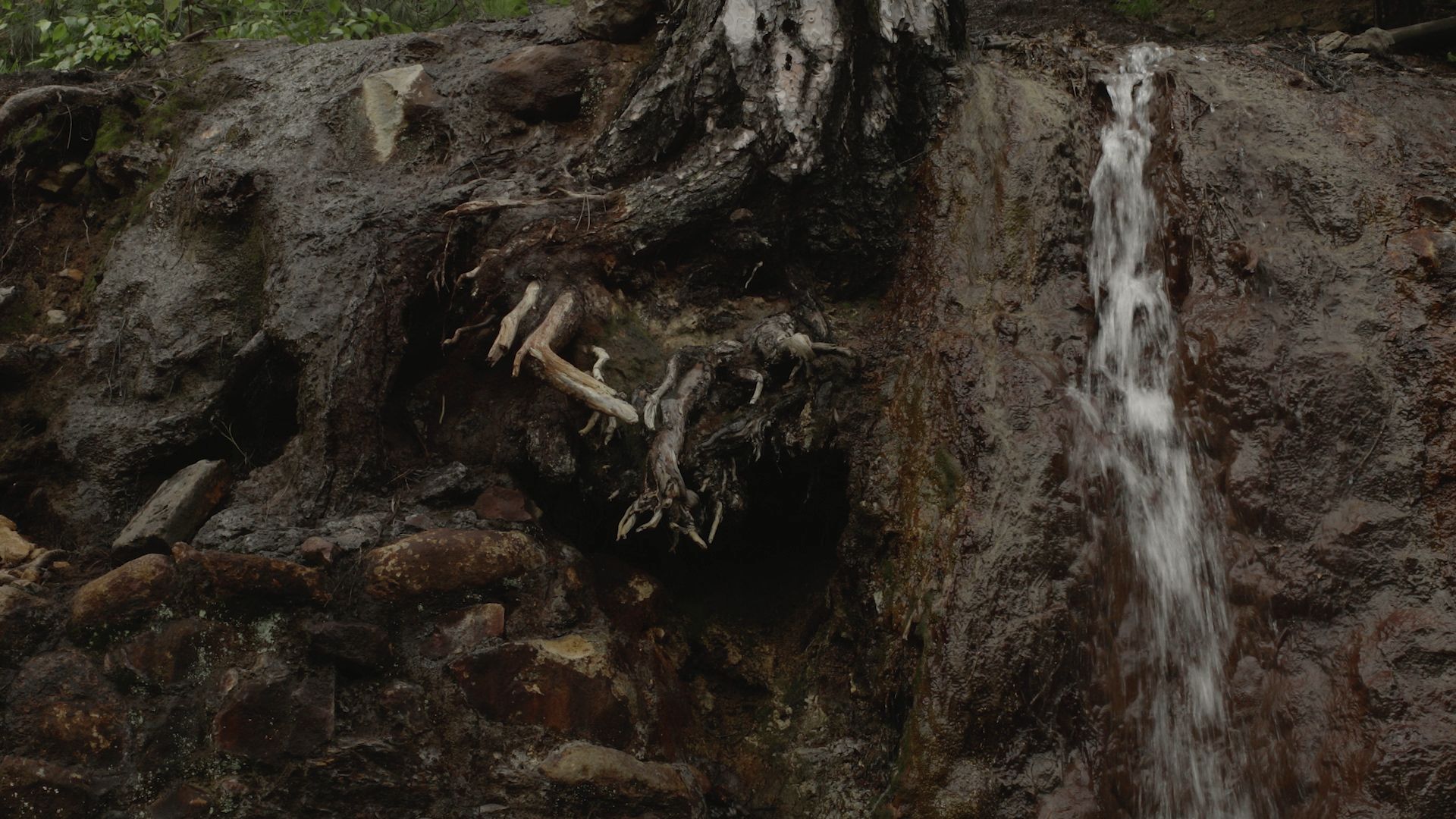 Disturbed Earth - dafilms.com | watch online