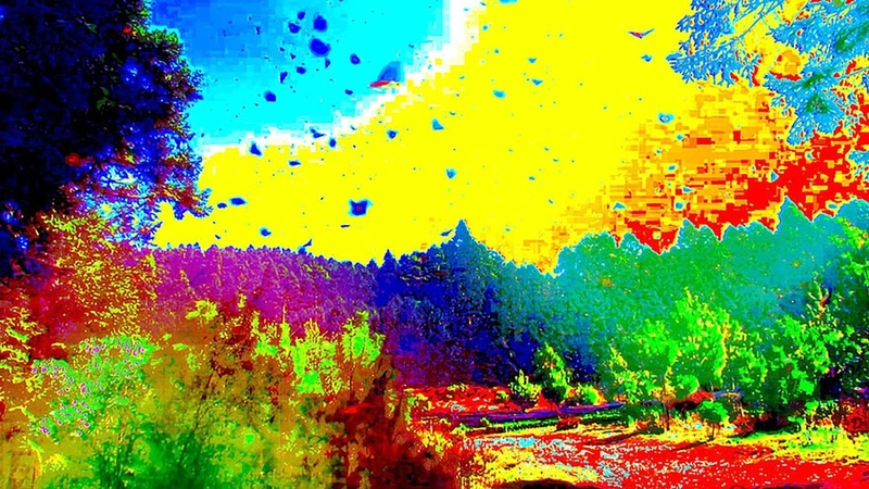 Pervading Animal - dafilms.com | watch online