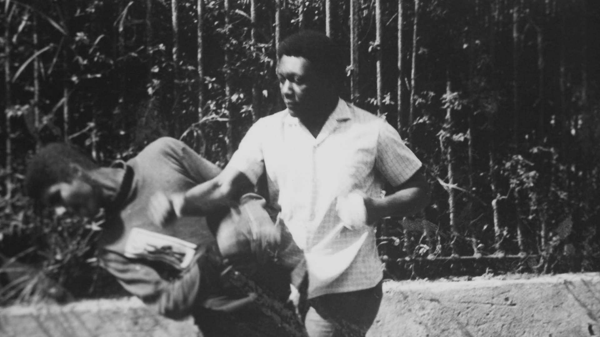 Example # 35 - dafilms.com | watch online