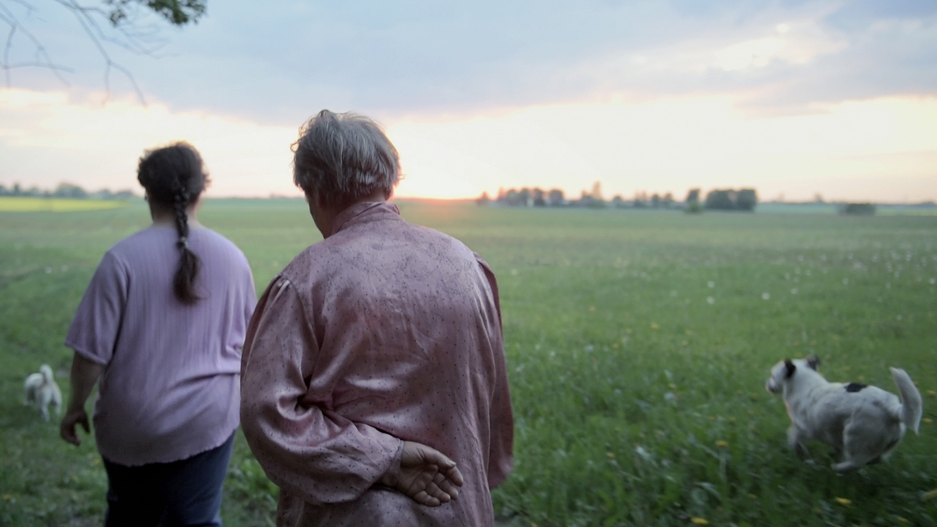Bucolic - dafilms.com | watch online