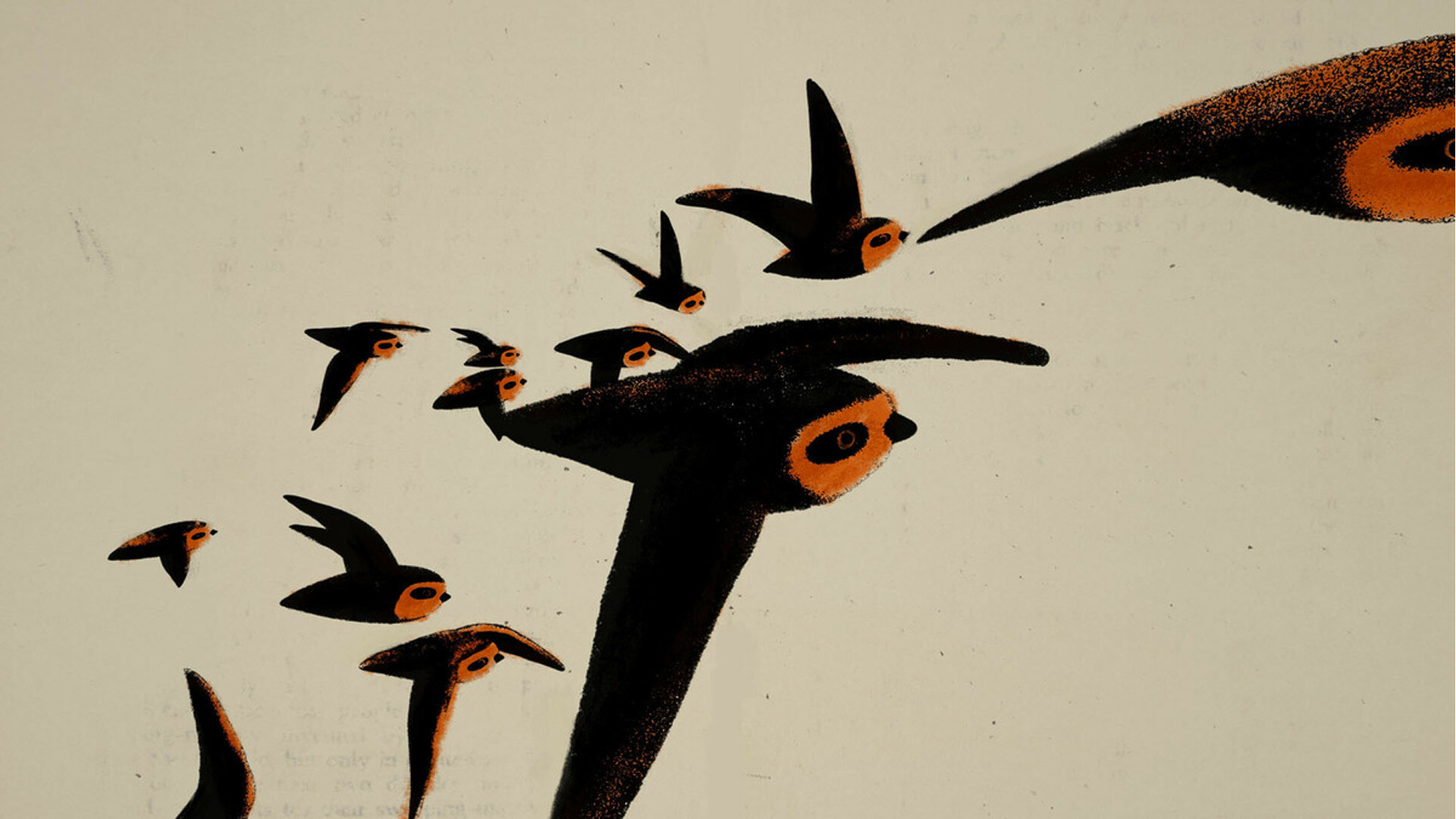 The Chimney Swift - dafilms.com | watch online