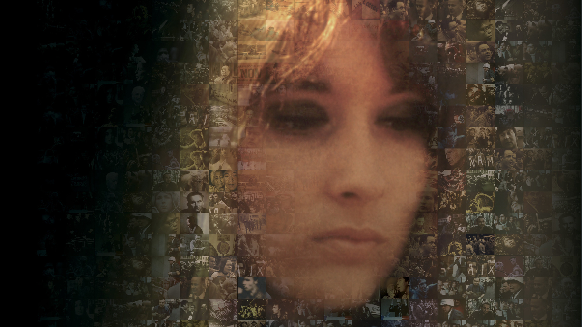 A Grin Without a Cat - dafilms.com | watch online