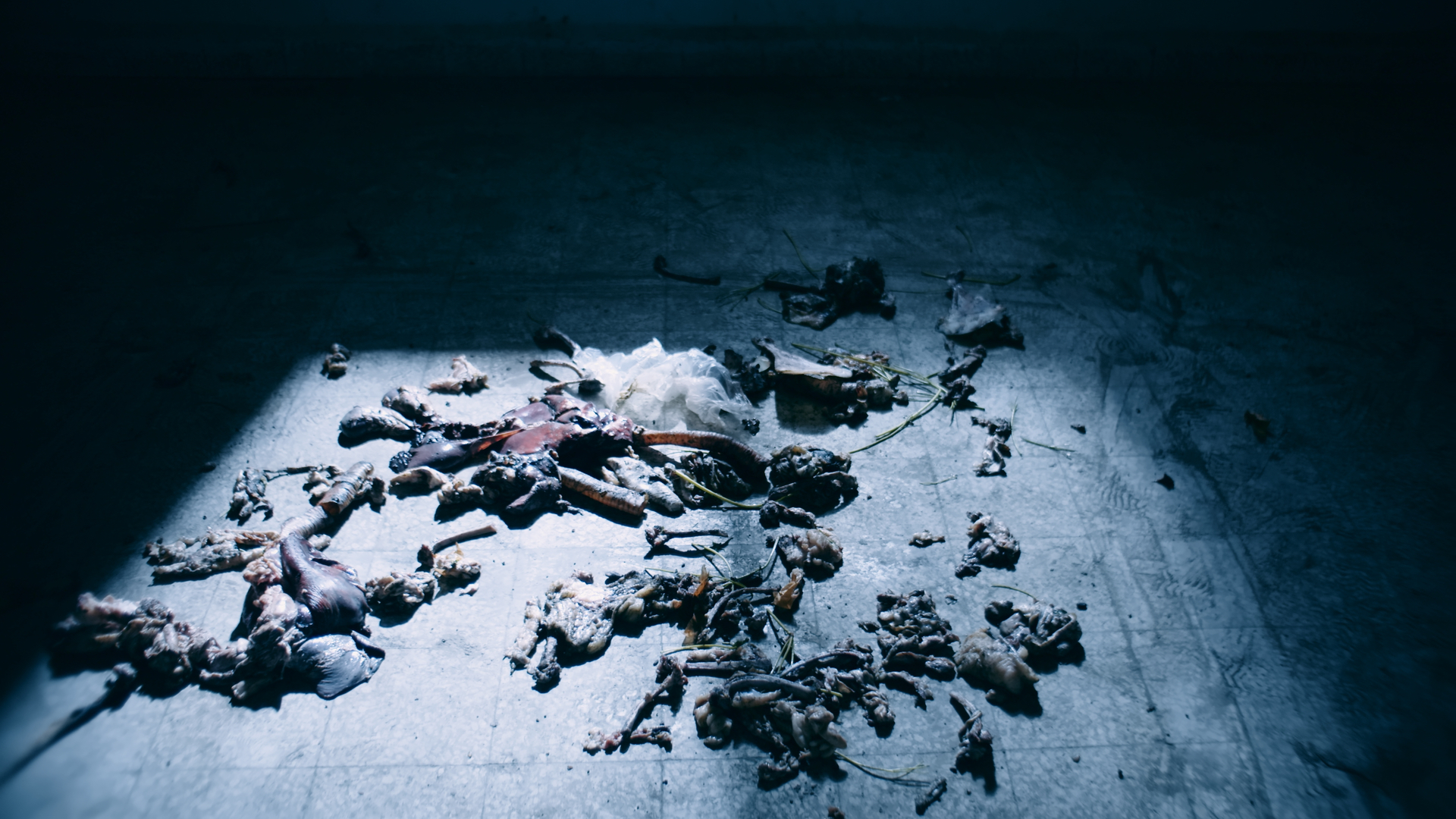 Nécrose - dafilms.com | watch online