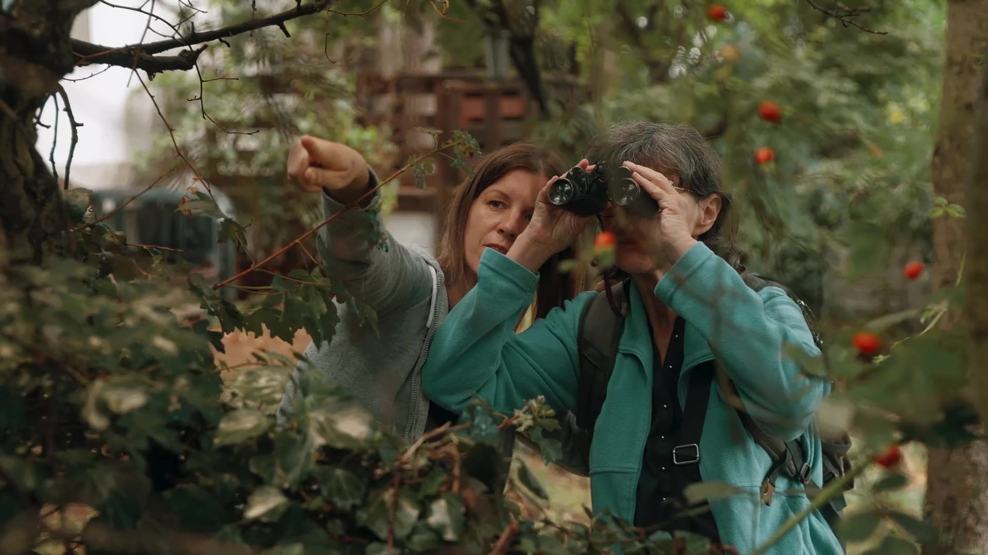Birdhill - dafilms.com | watch online