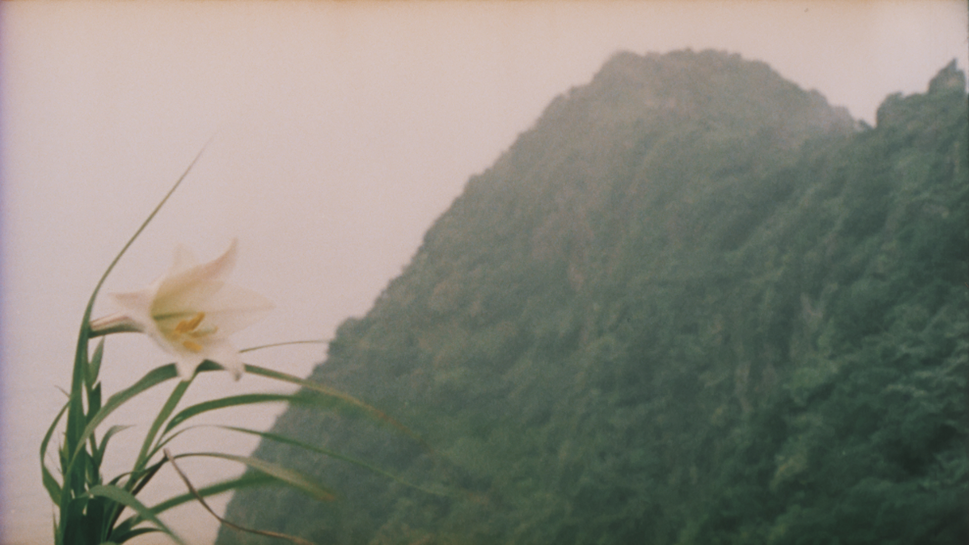 Trouble - dafilms.com | watch online