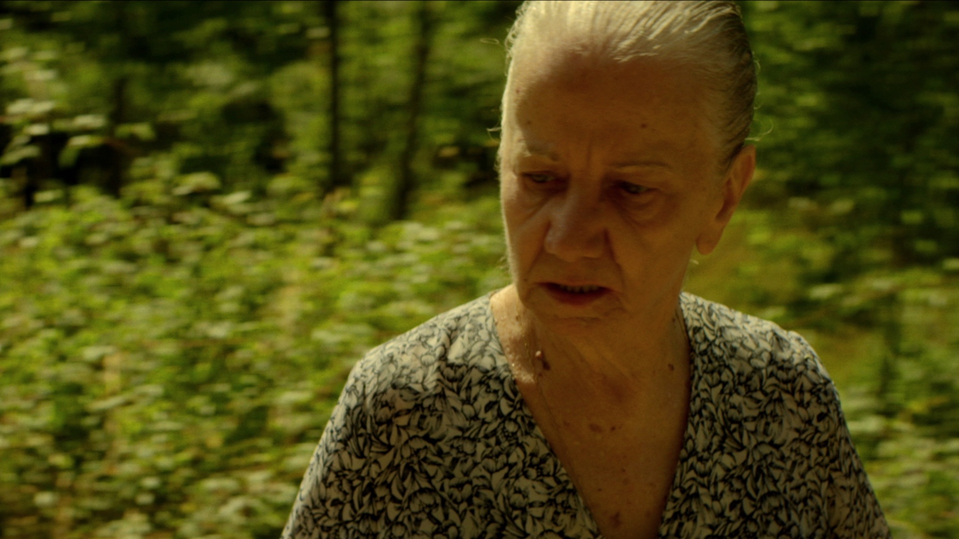 Morning Light - dafilms.com | watch online