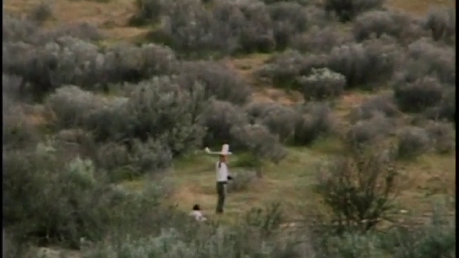 The Wash - dafilms.com | watch online